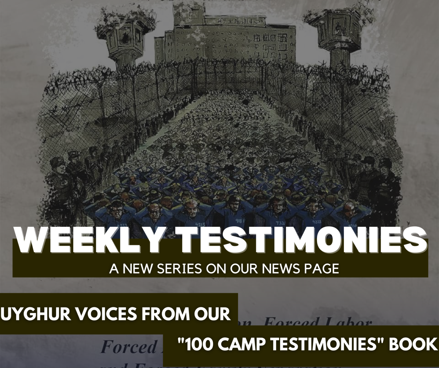 UTJD – Latest updates